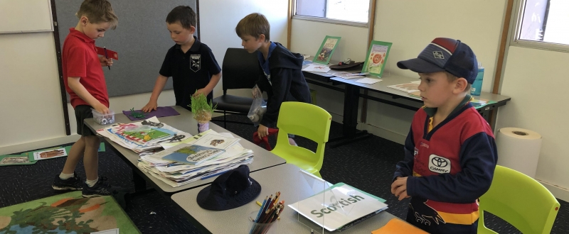 Open Access College - Open Access College